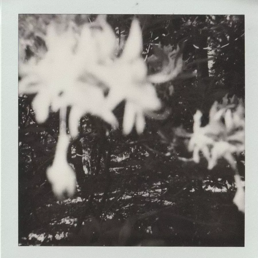 Memory Recollection (@memory_recollection) | Family Tree - Sample Kit ...